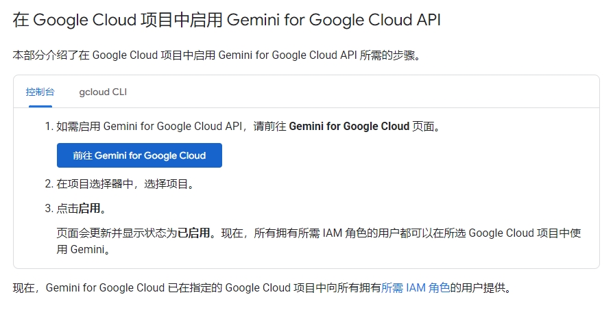 Gemini Cli及gemini code assist配置使用-CSDN博客