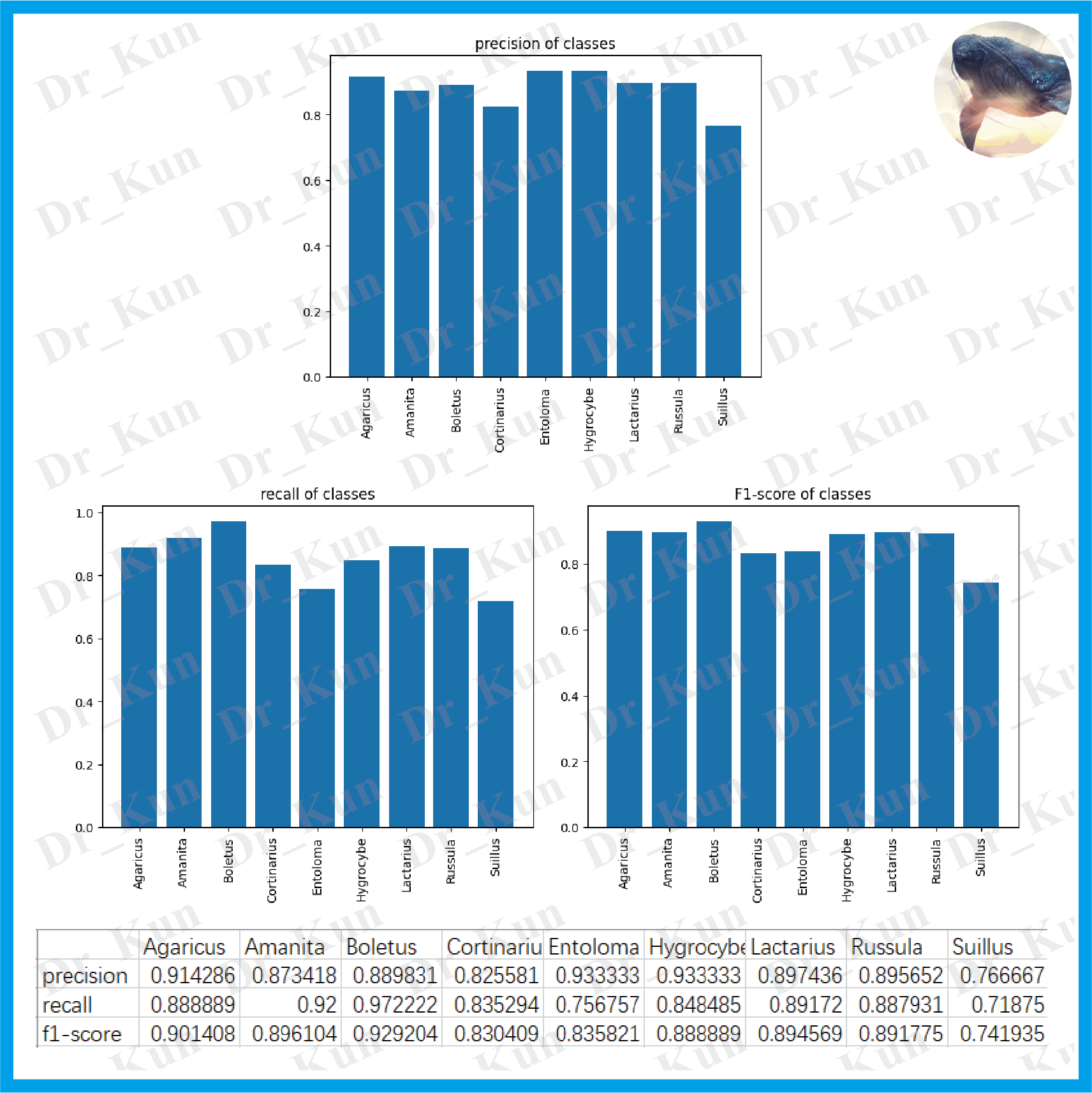 基于pytorch的蘑菇分类系统(10类)/resnet18/深度学习(源码+lw+部署文档+讲解等)-CSDN博客