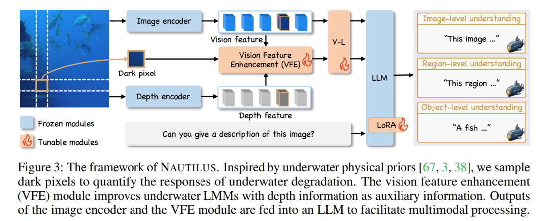 【华中科技大学-NIPS25】NAUTILUS：让AI潜入深海的多模态理解模型-CSDN博客