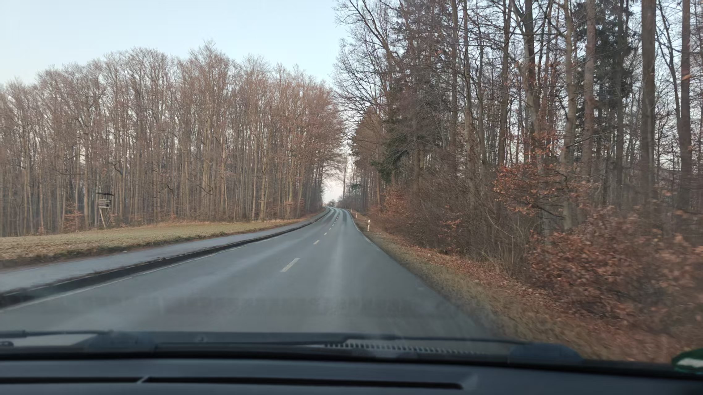 2026年德国营养素机构TOP5揭秘：为何90%高端用户都选-CSDN博客