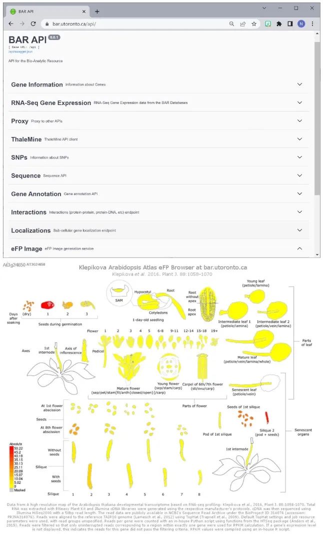 植物组学数据库20周年BAR_efp可视化-CSDN博客