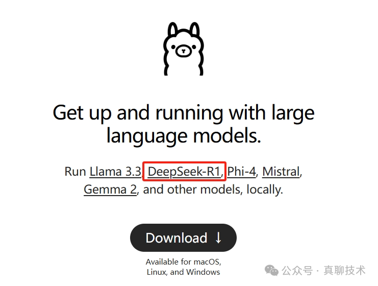 DeepSeek-R1个人和企业本地快速部署手册（可商用）_基于vllm本地部署企业级deepseek-r1-CSDN博客