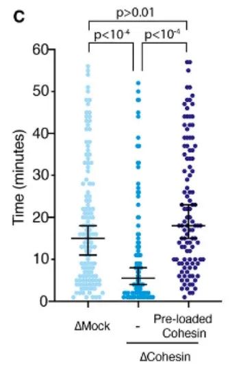 MicrobiomeStatPlots | 蜂窝图教程Hexbin Plot-CSDN博客