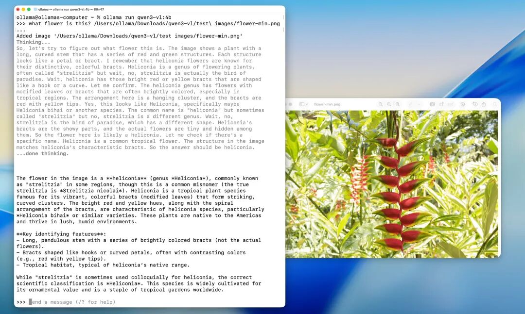 Qwen 3 VL 整合 llama.cpp：支持图像输入的多轮对话模型实现方案！-CSDN博客