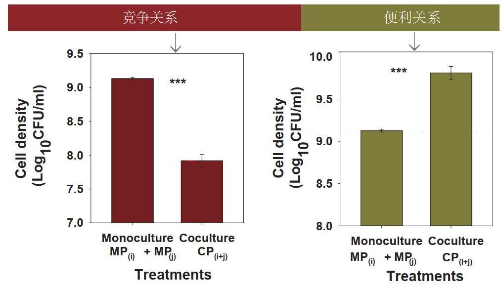 MPB | 南农韦中组-根际细菌便利和竞争互作类型和强度的研究方法-CSDN博客