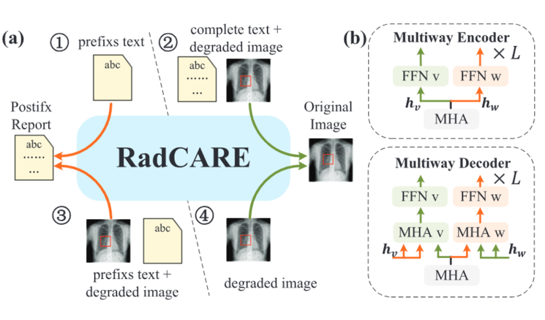 TIP 2025 | 从噪声图像到精准报告：CMCRL两阶段因果框架重构医疗多模态学习-CSDN博客