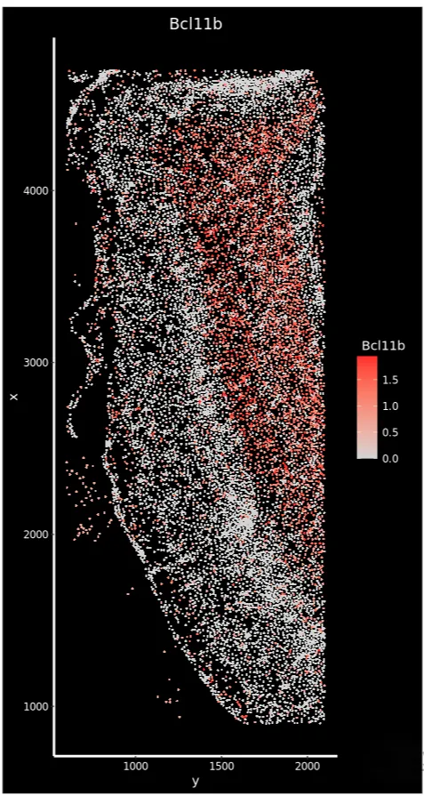 必看！Seurat赋能 Xenium空间转录组学分析全攻略-CSDN博客