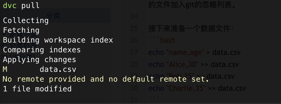 使用DVC管理大文件变更历史（基于git）-CSDN博客