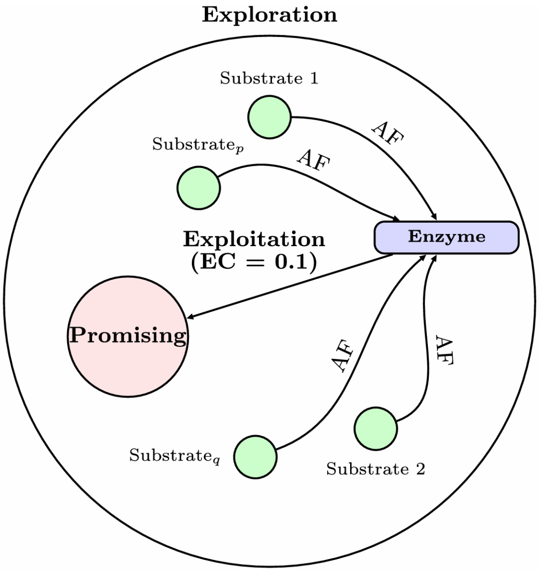酶作用优化算法(EAO)-2025年4月SCI新算法-公式原理详解与性能测评 Matlab代码免费获取