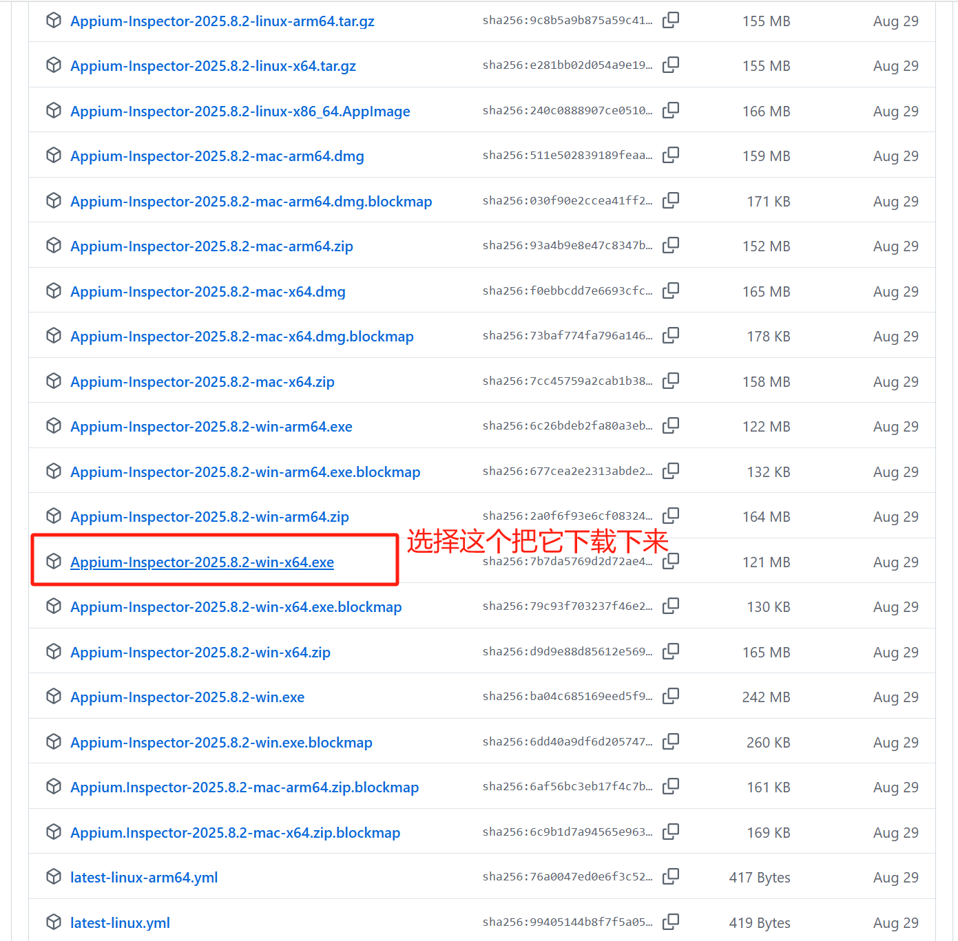 Appium inspector下载和安装（Appium元素定位工具）-CSDN博客