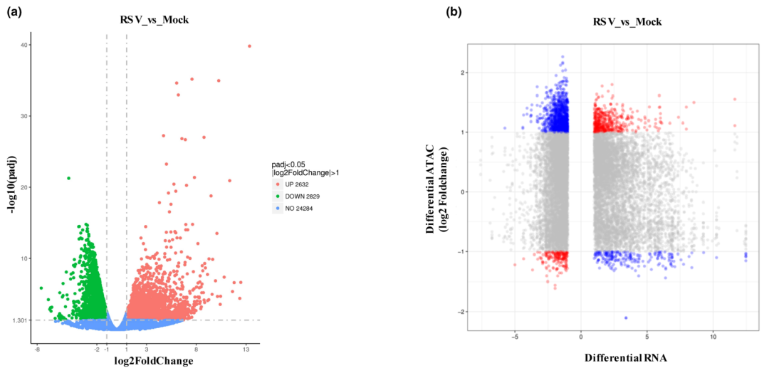 ATAC-seq和RNA-seq联合分析获得转录因子_sc atac 转录因子足迹分析-CSDN博客