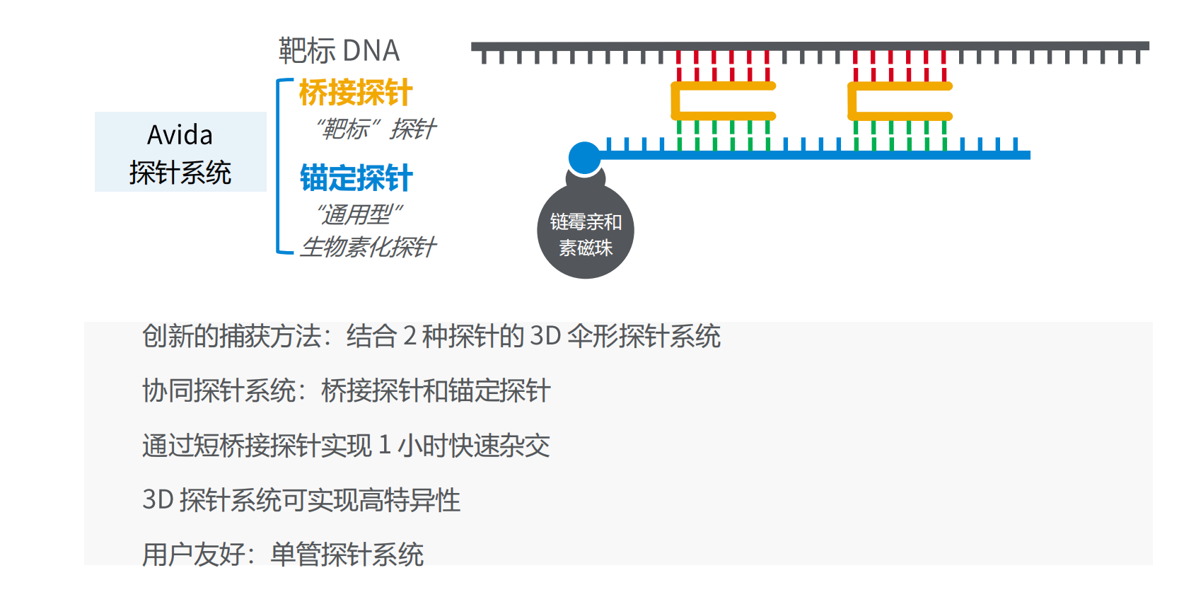 表观遗传之DNA 甲基化：基因表达的分子指纹与表观调控密码-CSDN博客