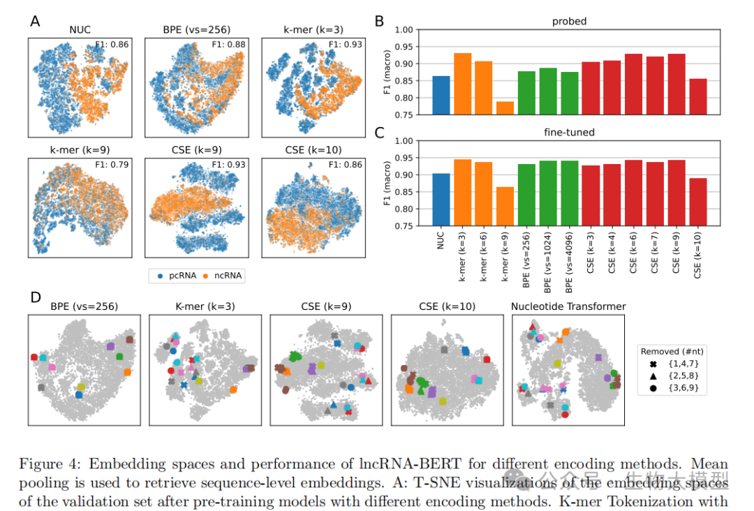 AI大模型在RNA序列分类中的突破：lncRNA-BERT模型的深度解析_rnabert-CSDN博客