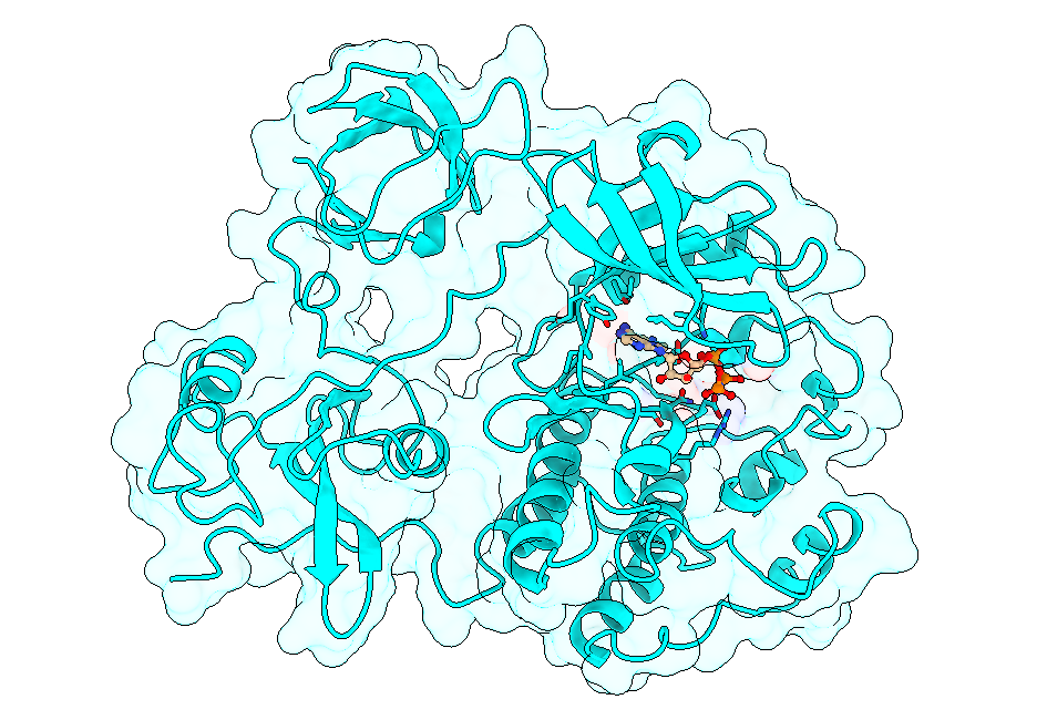 推荐一种使用ChimeraX渲染蛋白-配体复合物的方法_chimera导出好看的蛋白图片-CSDN博客