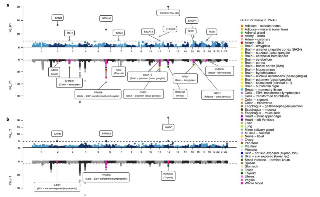 MicrobiomeStatPlots | 曼哈顿图教程Manhattan plot tutorial-CSDN博客