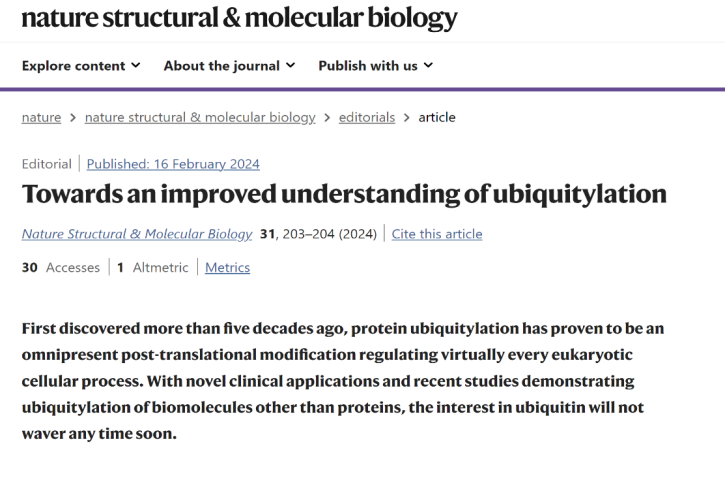 CRL3泛素连接酶如何动态调控底物降解？_crle3泛素连接酶-CSDN博客