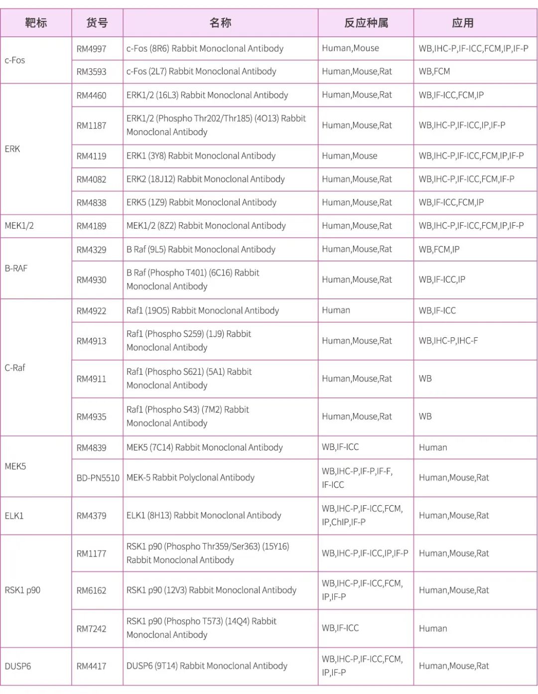 文献速递 | PNAS | 张传茂团队揭示核膜出芽促进衰老的机制及ERK1/2持续性激活在抗衰老中的作用-CSDN博客