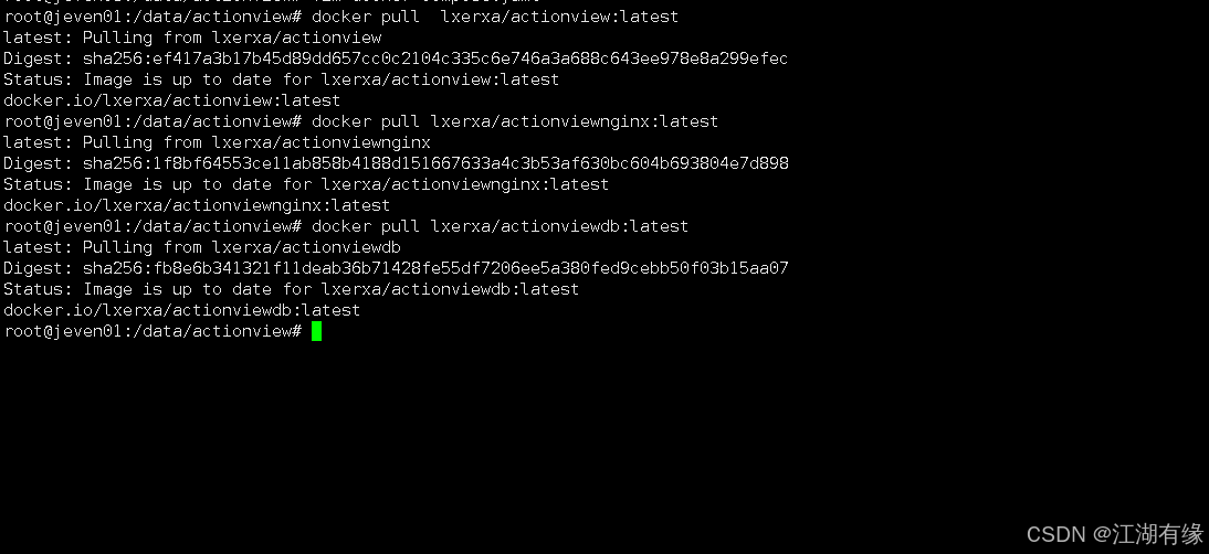 【Docker项目实战】使用Docker部署ActionView问题需求跟踪工具-CSDN博客