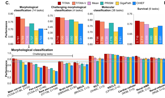 再发布！哈佛医学院又一病理大模型TITAN-CSDN博客