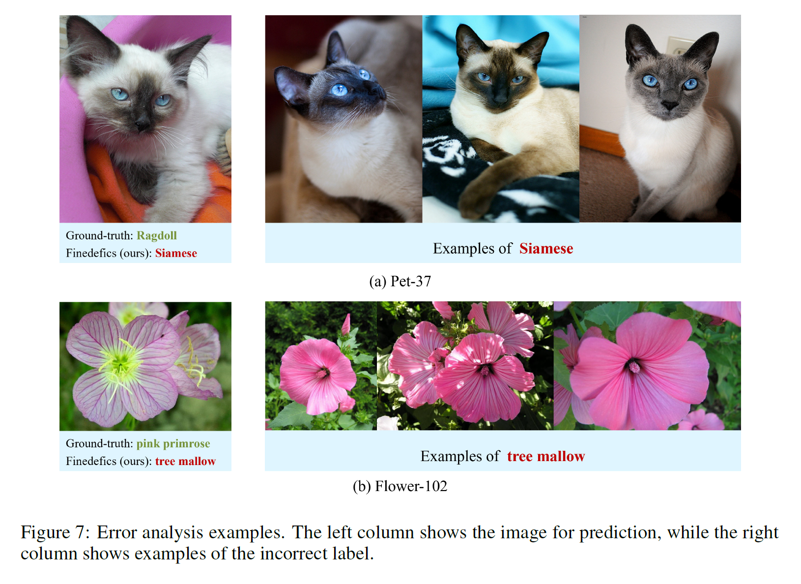 Analyzing and Boosting the Power of Fine-Grained Visual Recognition for Multi-Modal LLM引读-CSDN博客