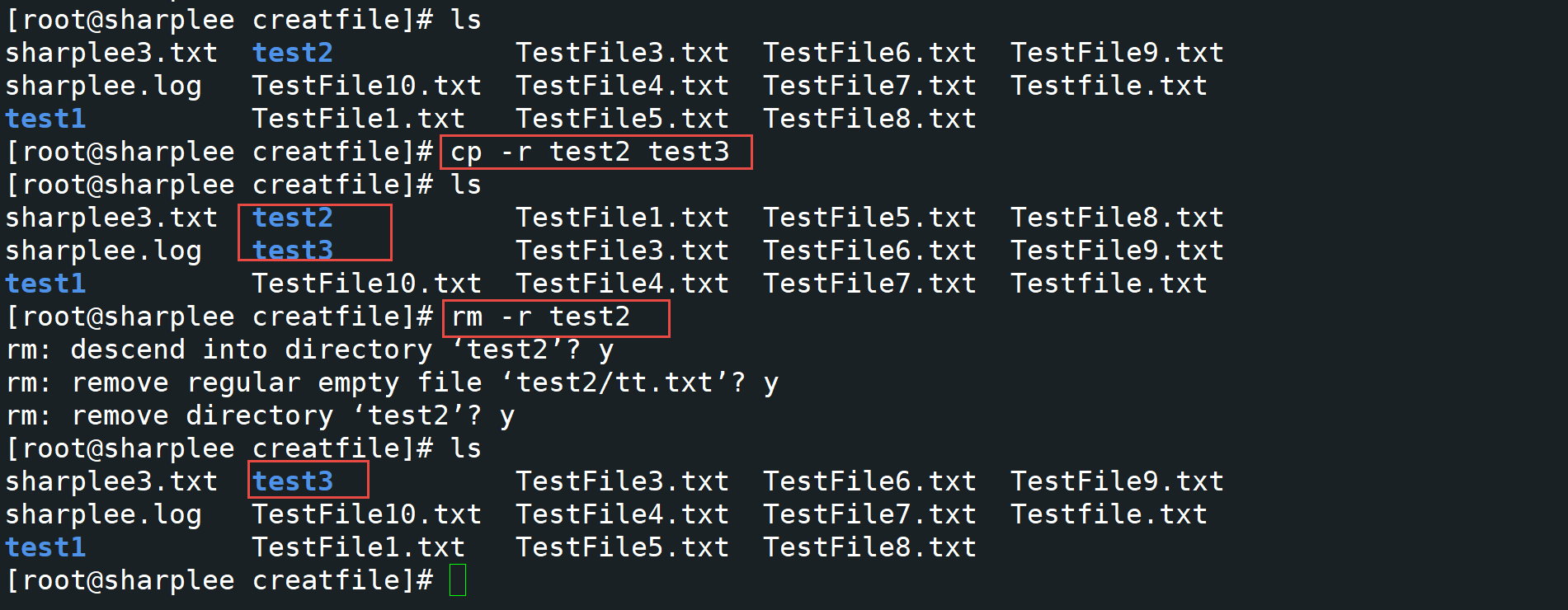 HoRain云--Linux中如何重命名文件-CSDN博客