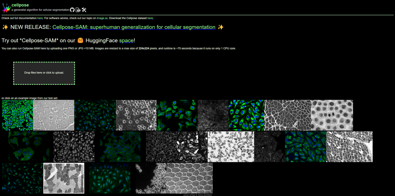 服务器使用Cellpose快速入门指南-CSDN博客