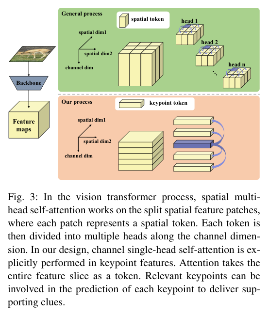 哺乳动物姿态估计：Learning Structure-Supporting Dependencies via Keypoint Interactive Transformer for ...