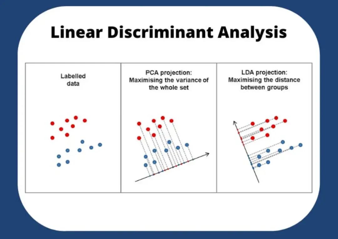 一文彻底搞懂机器学习 - 聚类与降维（Clustering And Dimensionality Reduction）_降维 ai-CSDN博客