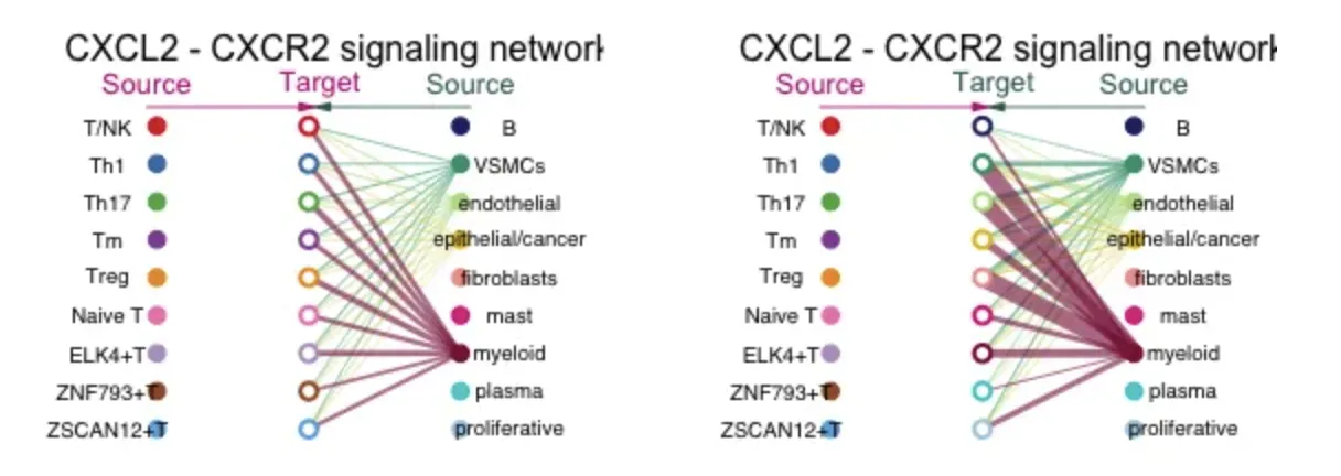 单细胞实战之cellchat——入门到进阶(高级篇1）_findenrichedsignaling-CSDN博客