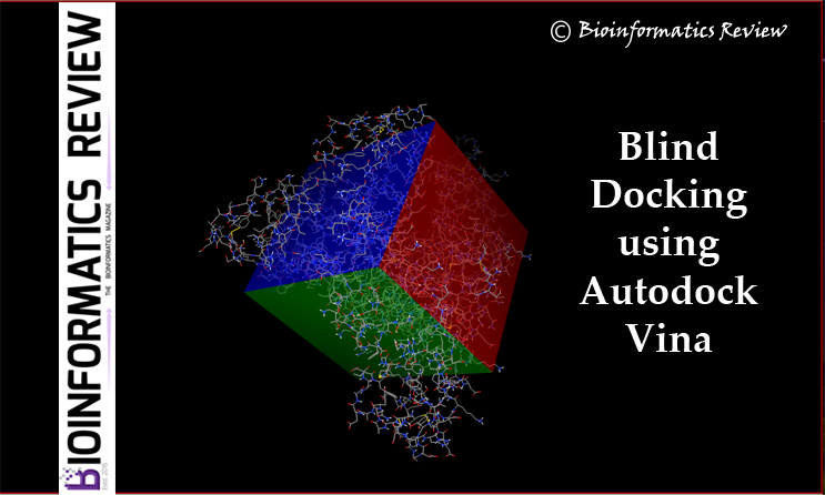 三行代码搞定AutoDock Vina批量分子对接_gnina-CSDN博客