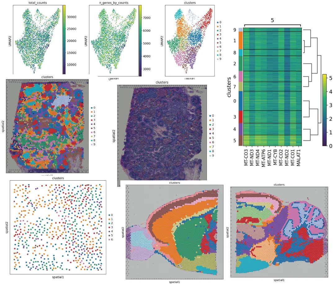 学会这些包，空转分析一网打尽！Stereopy、Squidpy、Seurat、Scanpy-CSDN博客
