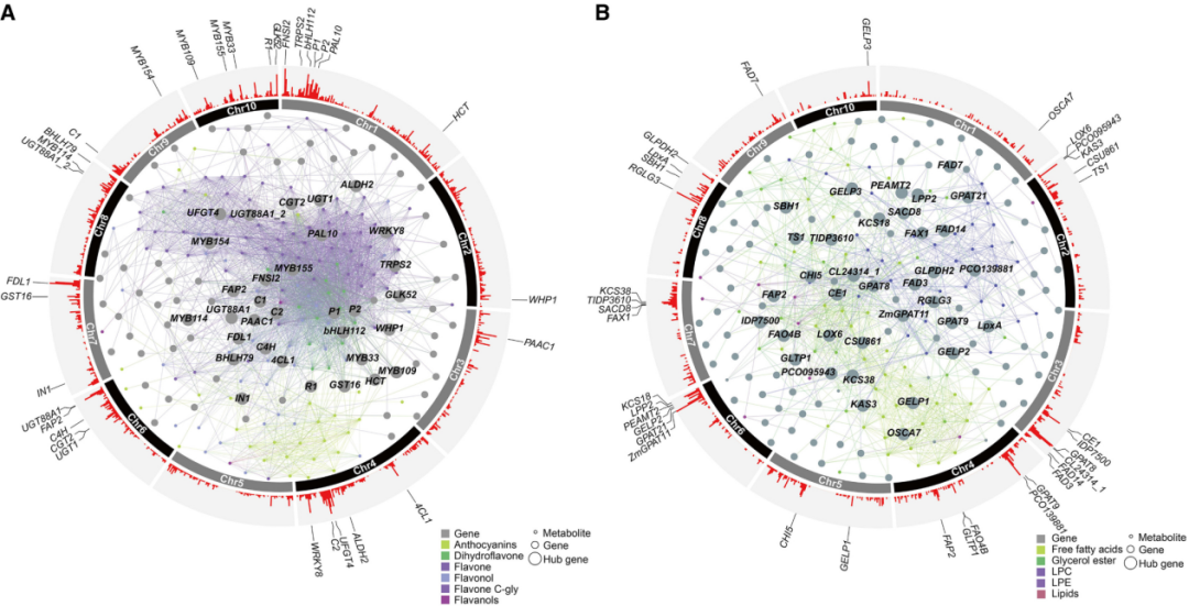 GWAS之后如何进行mGWAS分析？如何准备样本？-CSDN博客