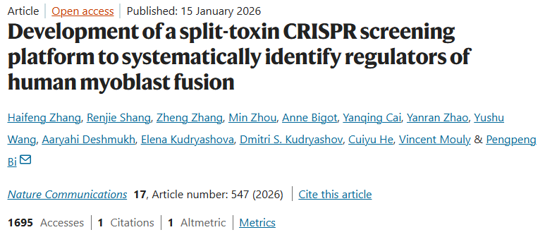 拆分毒素+多组学（Bulk+scRNA-seq） + CRISPR 筛选：Nature团队揭秘23个调控人类肌肉融合的蛋白复合物（R和Python代码很详细）-CSDN博客