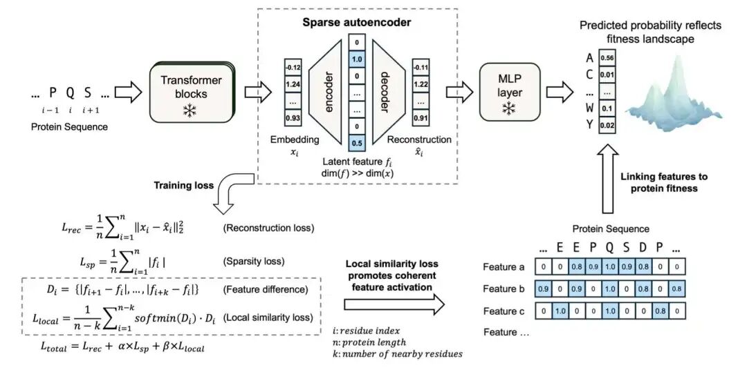 AIDD-人工智能药物设计-eptide2Mol：AI 直接生成模拟多肽的小分子，用于靶向蛋白质结合-CSDN博客