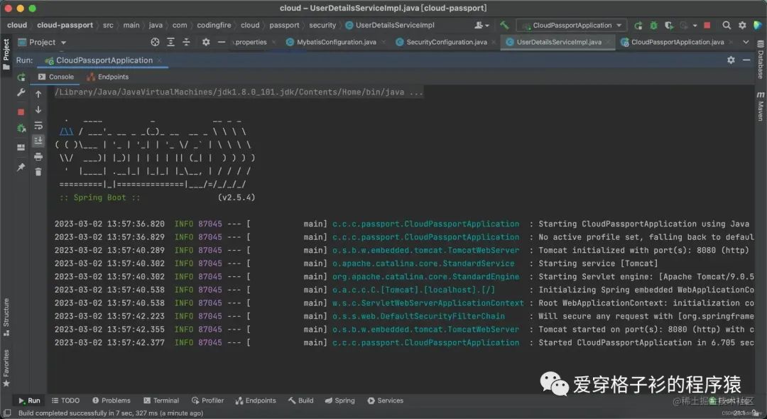 Java开发 - 单点登录初体验（Spring Security + JWT）_java jwt单点登录-CSDN博客