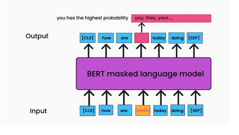一文解析BERT模型解析（BERT模型结构、嵌入层、预训练、微调）-CSDN博客