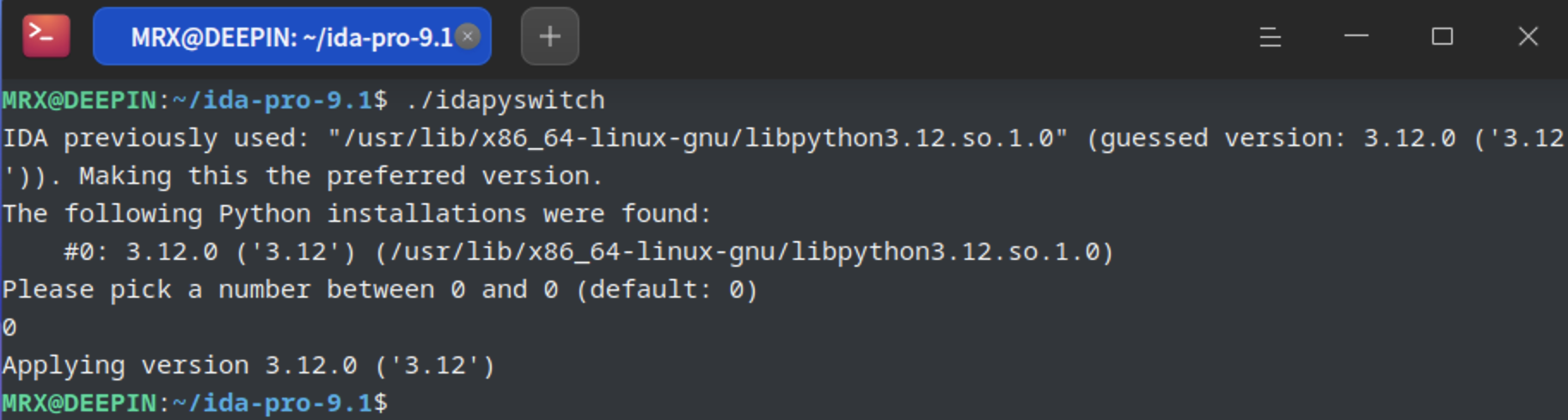 IDAPRO-9.1LINUX安装_ida pro linux-CSDN博客