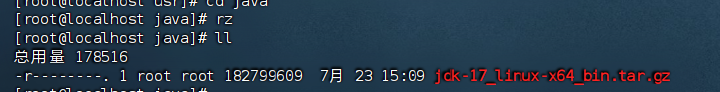 在Linux环境安装JDK17（保姆级教程）_linux安装jdk17-CSDN博客