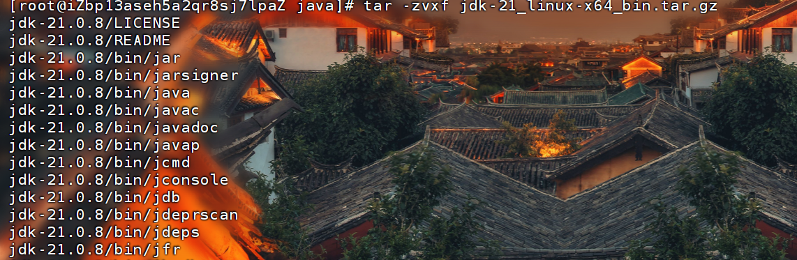 在Linux系统下安装JDK21(保姆级别）_linux 安装jdk21-CSDN博客