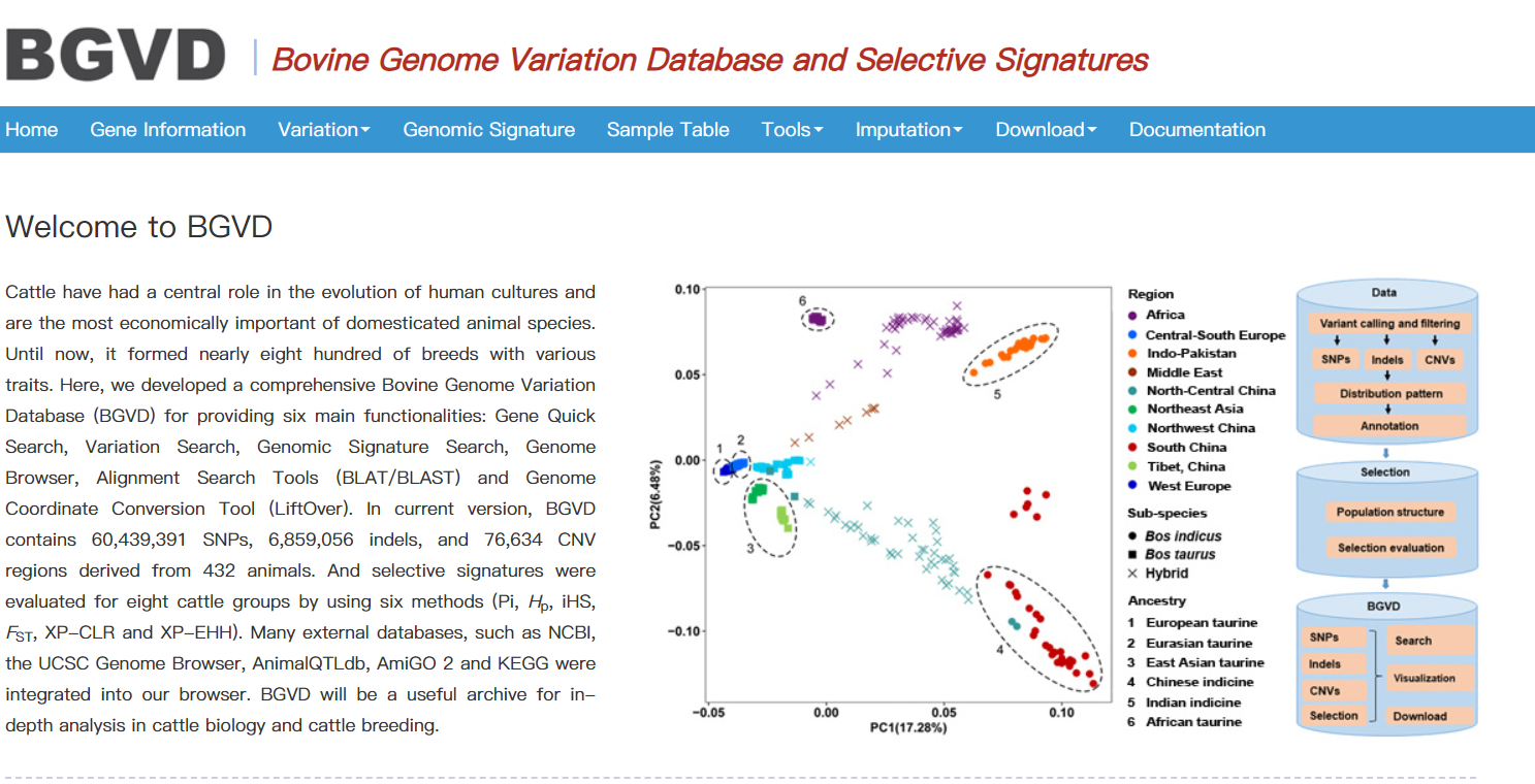 动物imputation填充参考知多少_动物基因组bgvd网站-CSDN博客