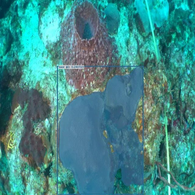 如何在自定义数据集上训练 Yolov8 实例分割模型yolov8 Seg 在自定义数据集上训练 Csdn博客