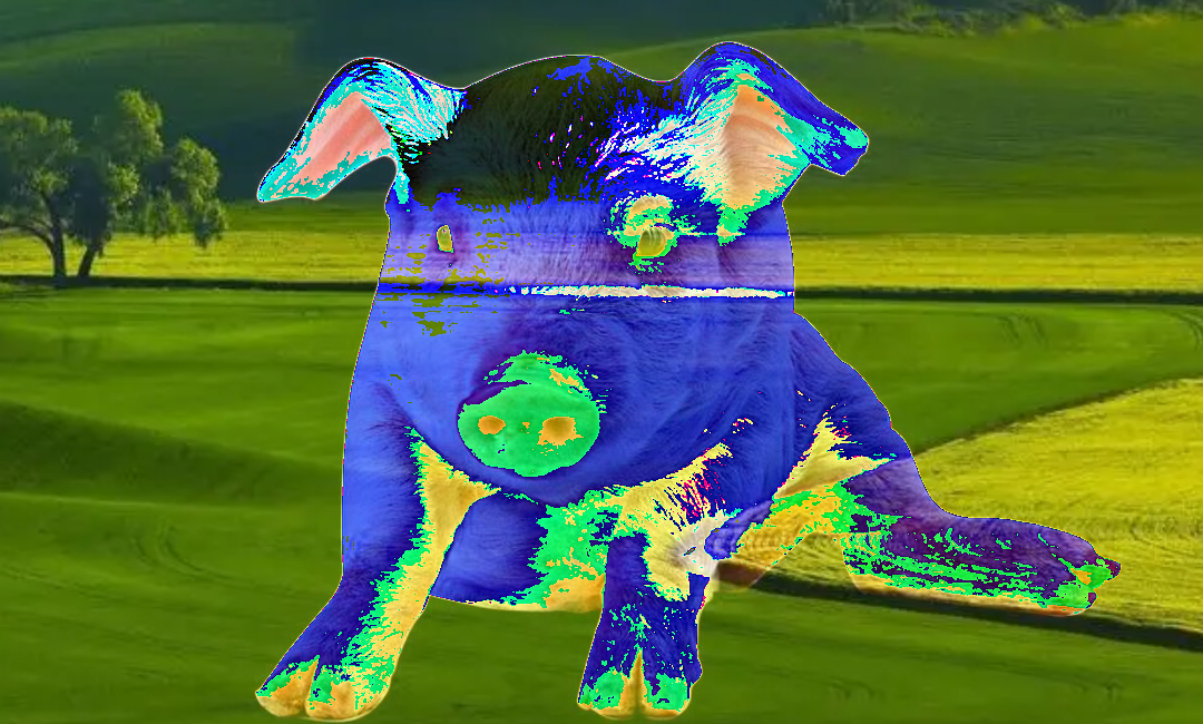 揭秘OpenCV图像处理_opencv hsv-CSDN博客