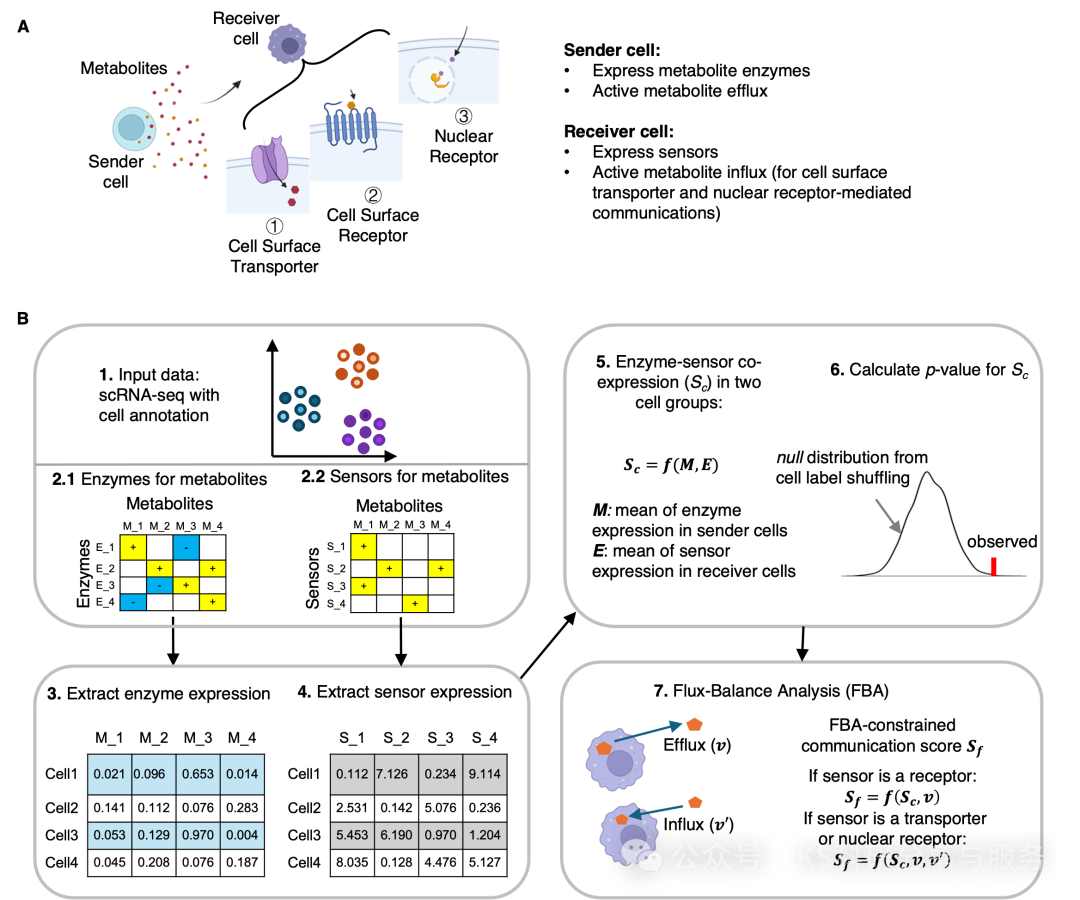 MEBOCOST单细胞转录组代谢通讯分析-CSDN博客