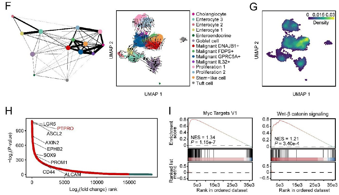 GUT (IF: 23.0) | 单细胞+空间转录组破译结直肠癌异质肿瘤干细胞器官特异性转移机制_结肠癌转移 干性 单细胞测序-CSDN博客