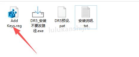 DR5至臻版下载安装教程-CSDN博客