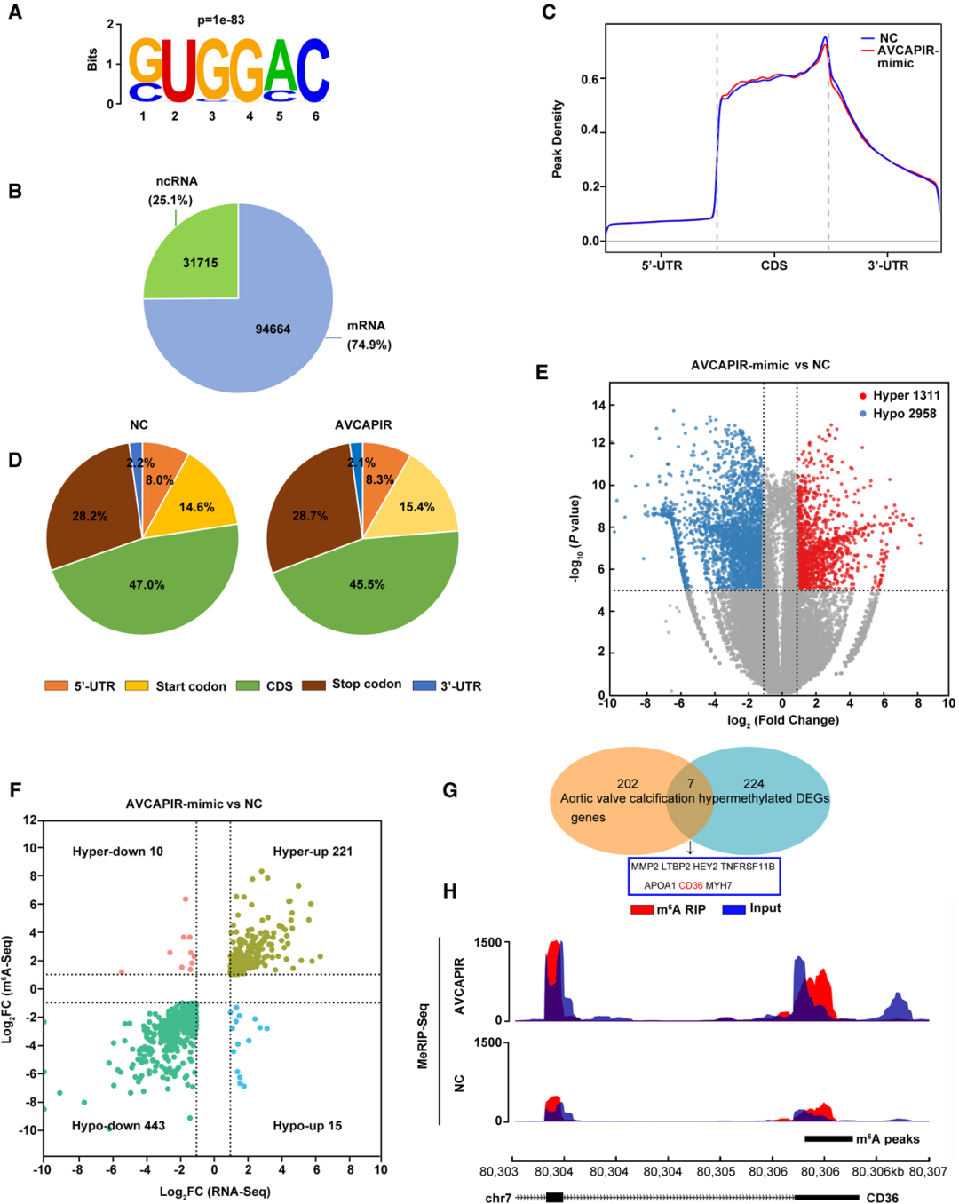 RNA m6A修饰免疫沉淀建库试剂盒：Epi™ m6A Immunoprecipitation Kit_m6a修饰免疫沉淀试剂盒 r1802 ...
