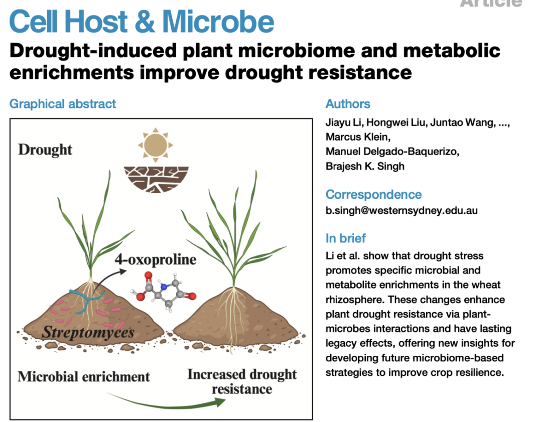 Cell Host & Microbe｜干旱诱导的植物微生物组及代谢物富集提高耐旱性-CSDN博客