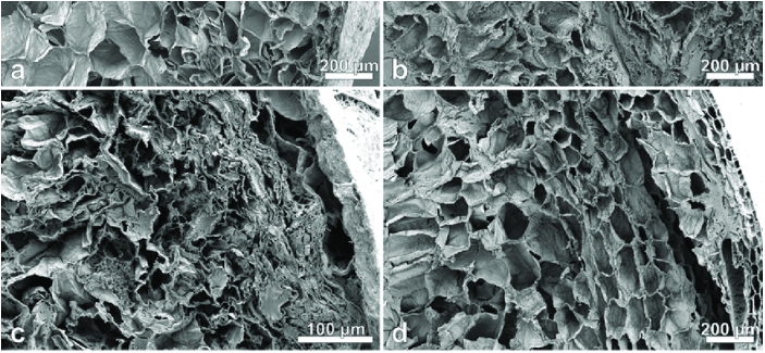 一文搞懂五种电镜测试的区别(SEM、TEM、ESEM、EDS、EBSD)_esem电镜-CSDN博客