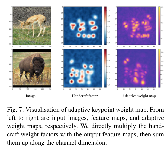 哺乳动物姿态估计：Learning Structure-Supporting Dependencies via Keypoint Interactive Transformer for ...