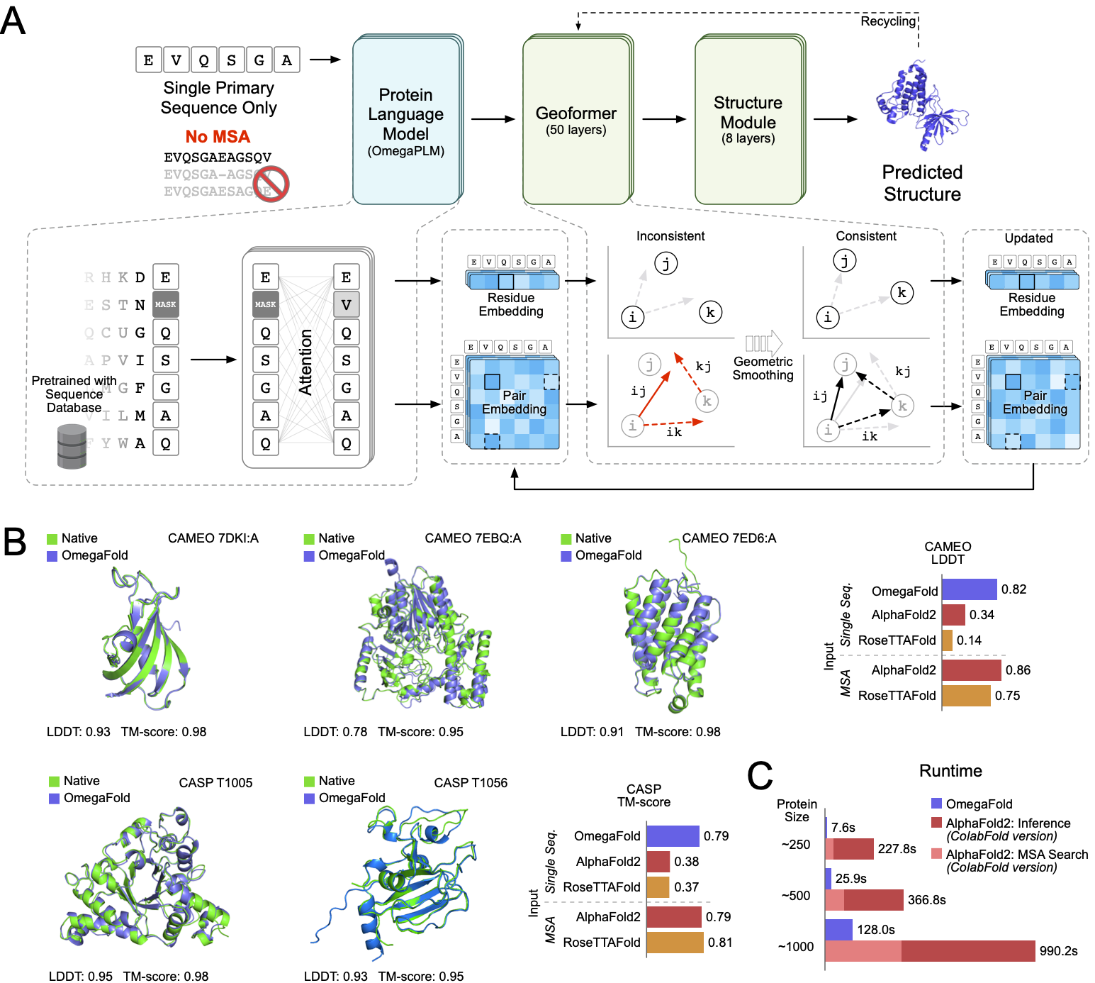OmegaFold：从一级序列实现高分辨率蛋白质结构预测的革命性突破-CSDN博客